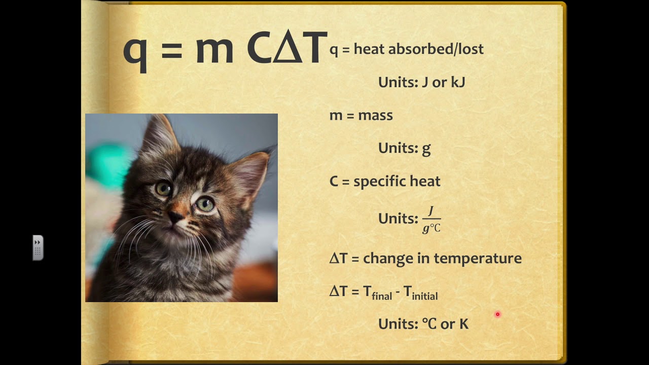 Specific Heat - Distance Learning Version - YouTube