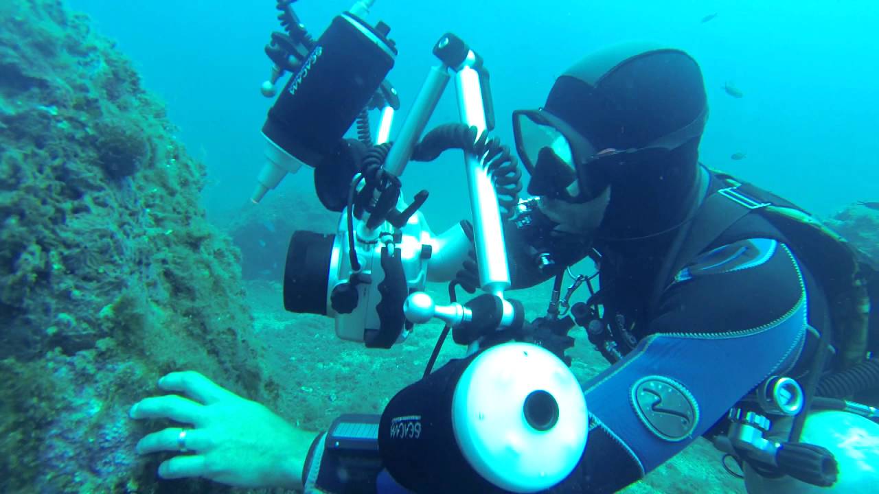 Stéphane Regnier comme un poisson dans l’eau - YouTube