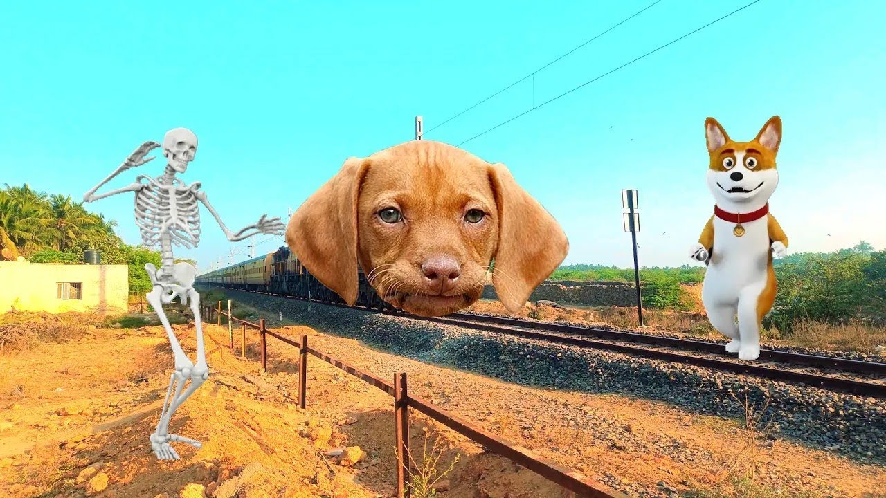 vansh mor dog bhav bhav funny train video - funny dog video - funny ...