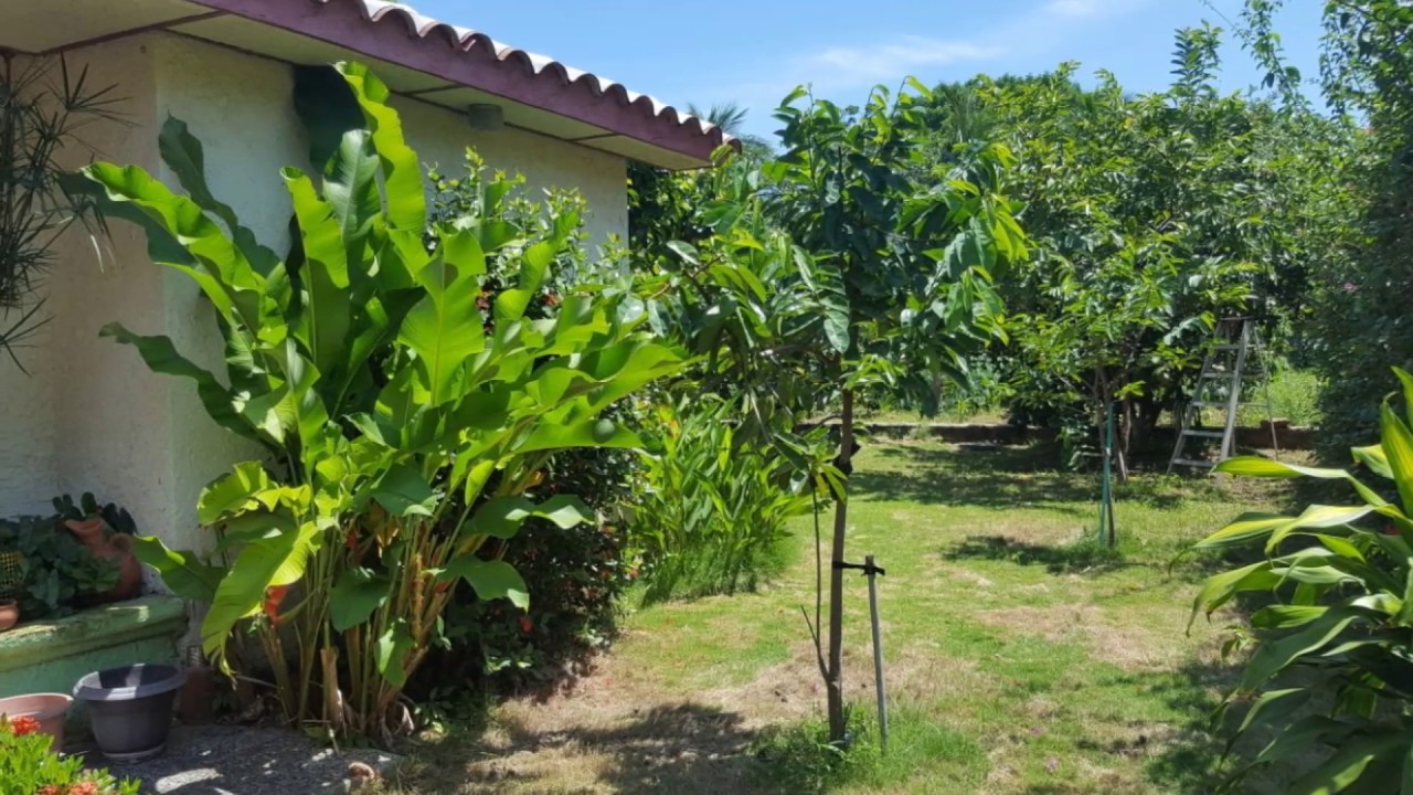 COMPRA Y VENTA DE FINCA RAIZ EN EL CARIBE COLOMBIANO - YouTube