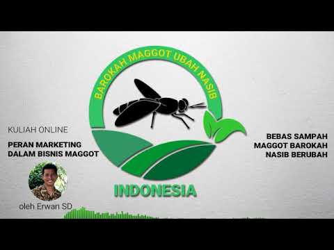 Peran Marketing Dalam Bisnis Maggot BSF | Kuliah Online BMUN Indonesia ...