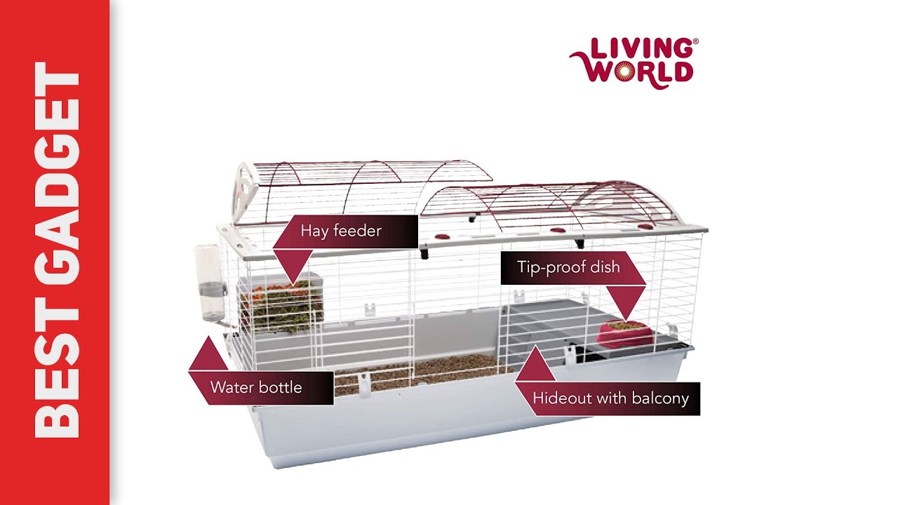Living World Deluxe Habitat Review - YouTube