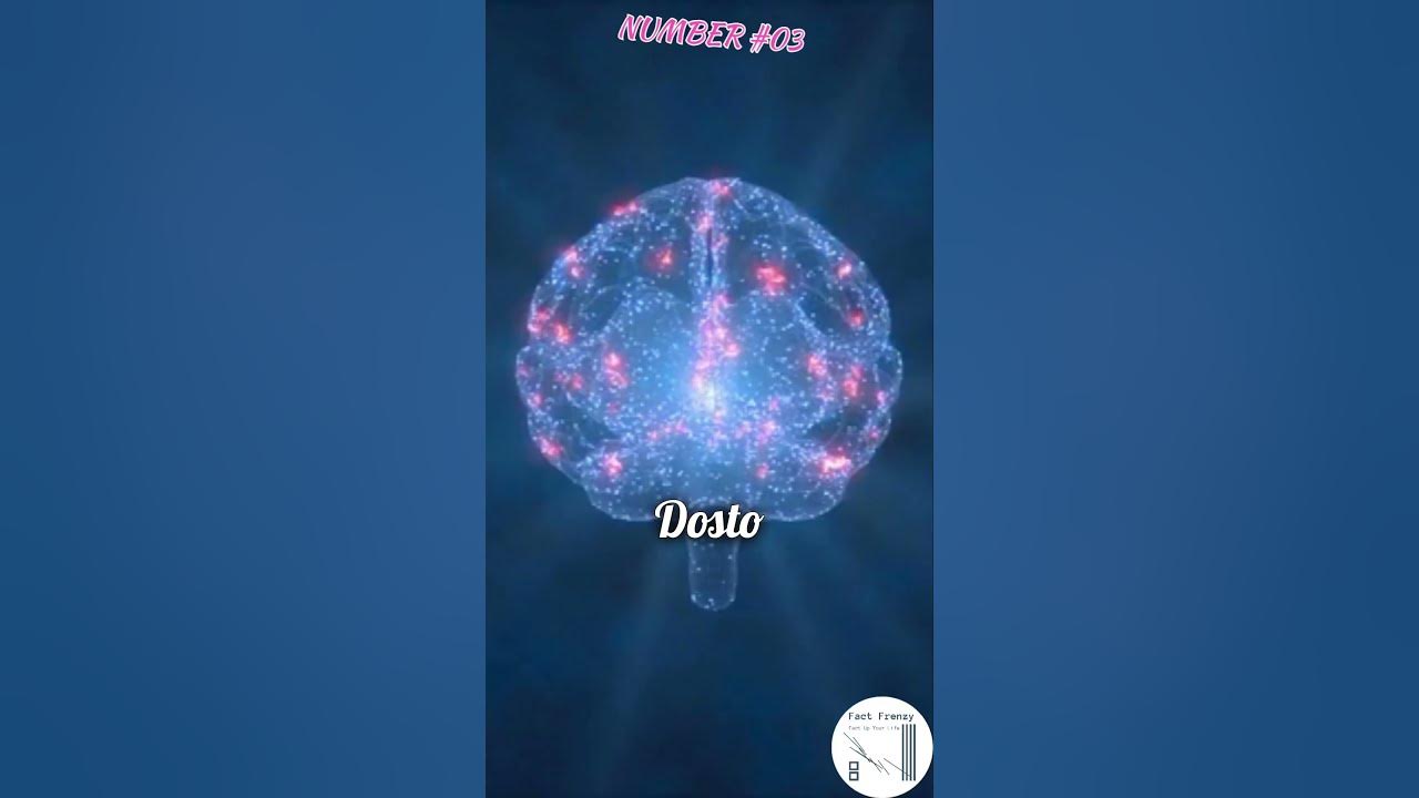 Top 5 Unknown Facts About Human Brain In Hindi factfrenzy facts top-5-unknown-facts-about-human-brain-in-hindi-factfrenzy-facts