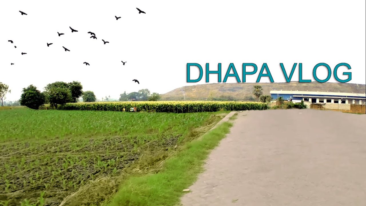 Exploring Dhapa Park: Kolkata’s Hidden Gem(BY PB CINEMATIC) - YouTube