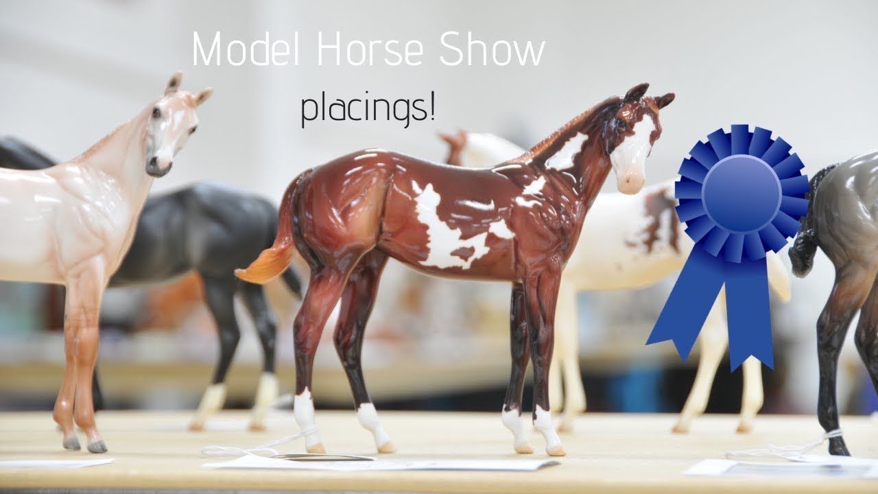 Model Horse Show A Ball in the Fall 2018 Placings - YouTube