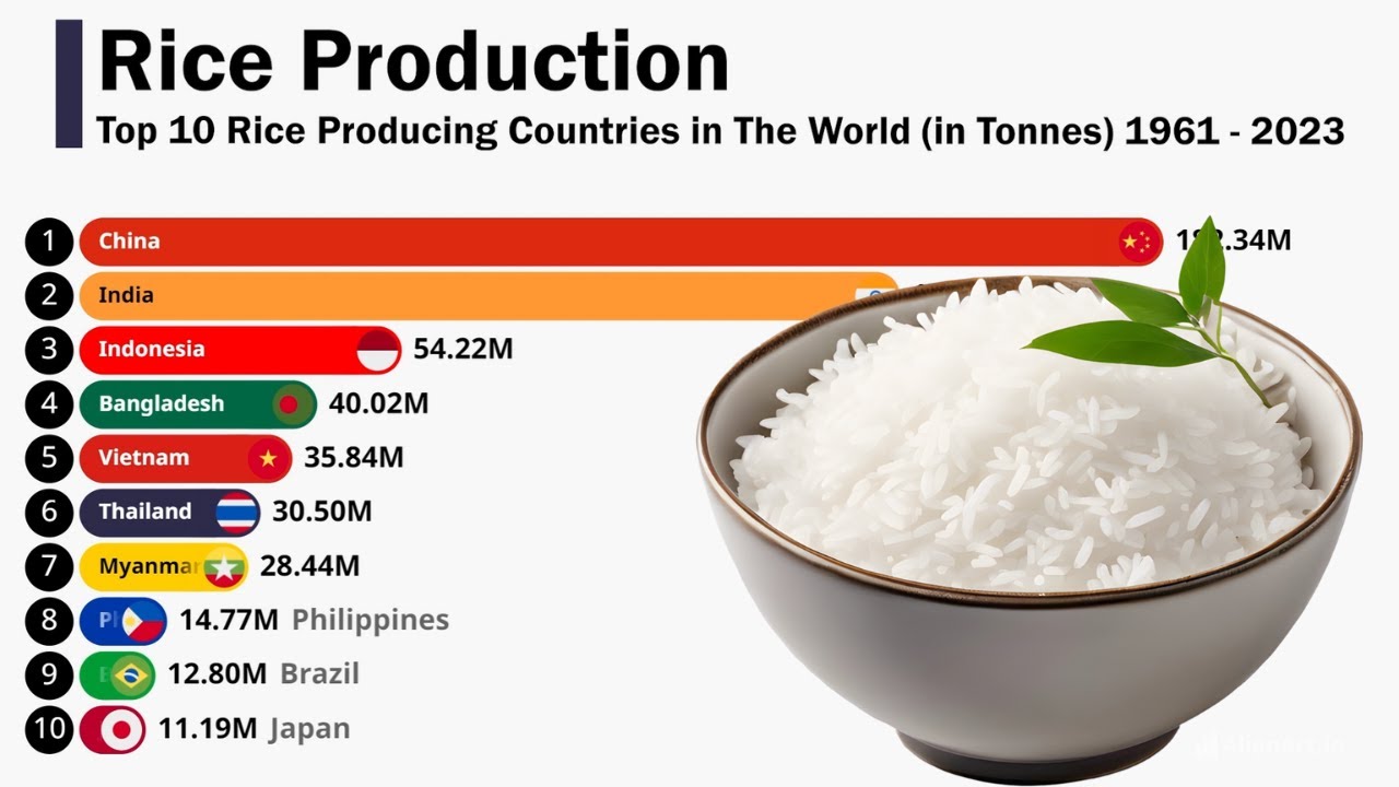 List of Countries By Rice Production - YouTube