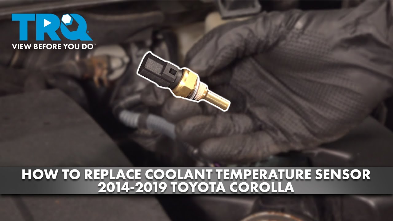 How to Replace Coolant Temperature Sensor 2014-2019 Toyota Corolla ...