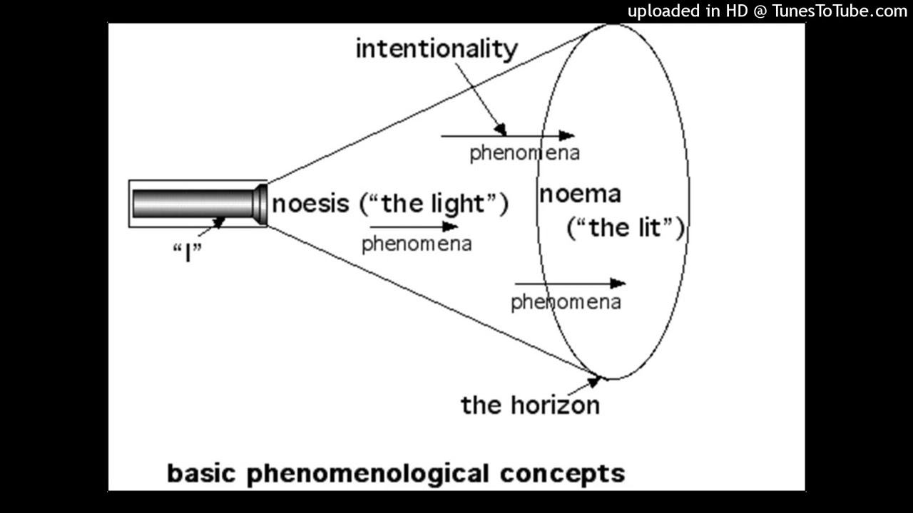 Introduction to phenomenology by Sokolowski - Intentionality - YouTube