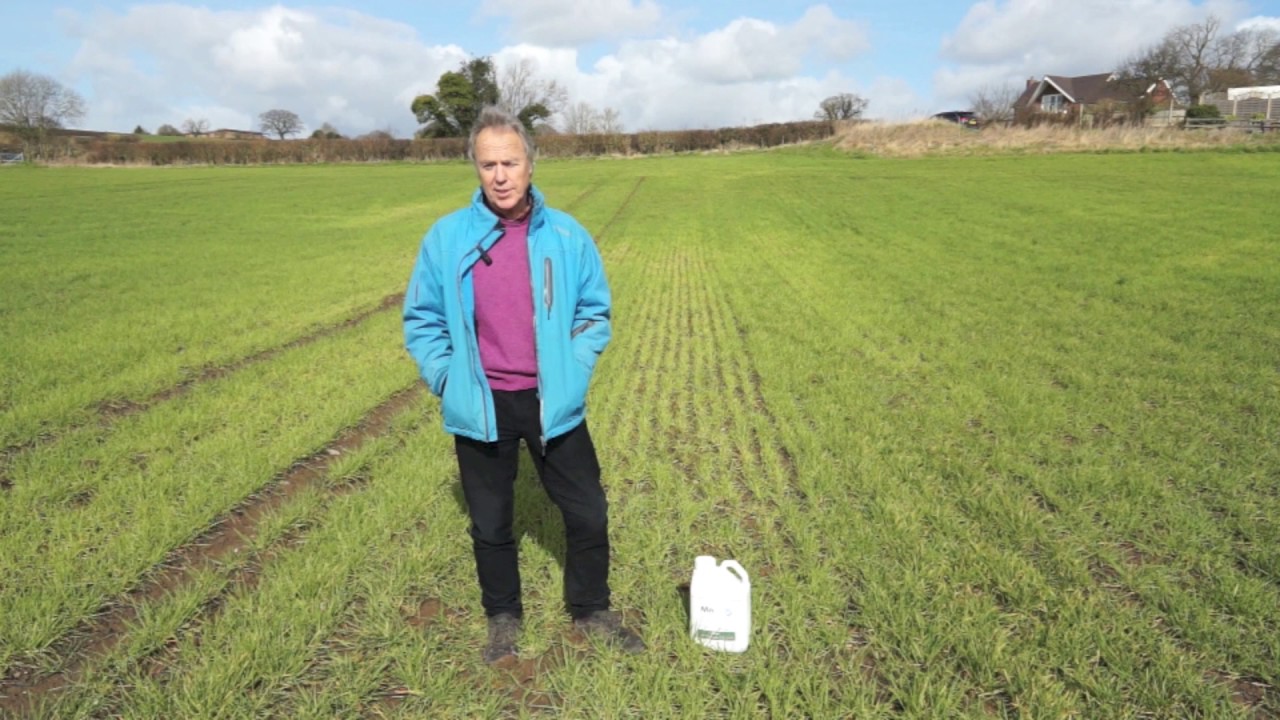 Manganese deficiency - YouTube