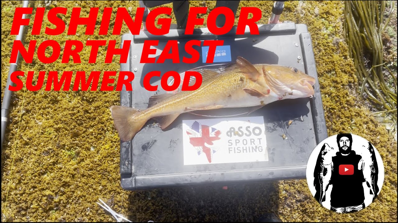 Fishing For North East Summer Cod - YouTube