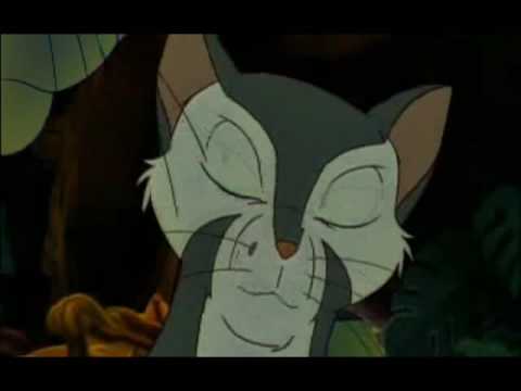 Felidae AMV - Francis and Felicity - Whispers in The Dark (lower pitch ...