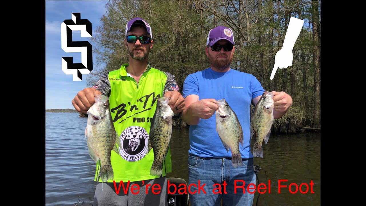 Reelfoot Part 2 Crappie Fishing 2019 - YouTube
