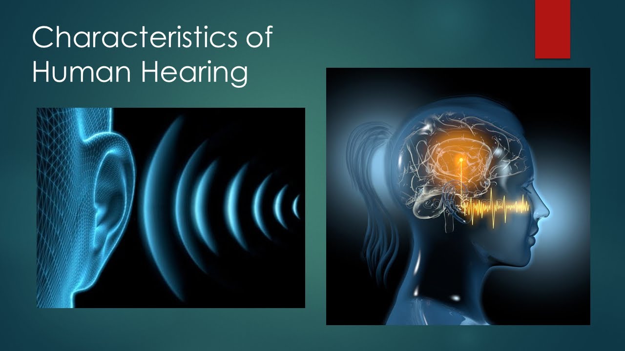 Characteristics of Human Hearing - YouTube