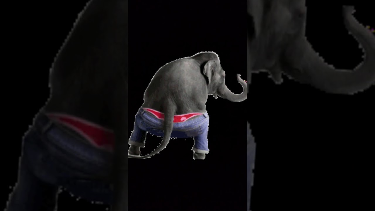 We like to party (Dancing Elephant)🍑 - YouTube