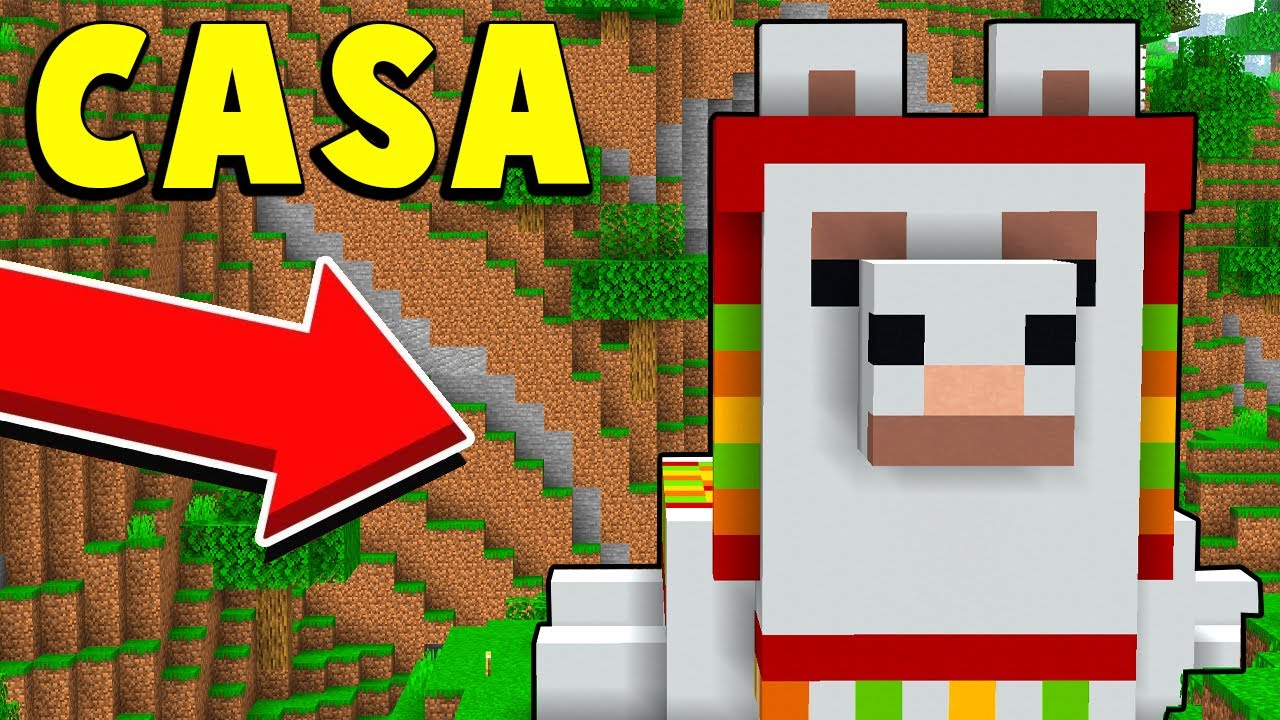 LA NUOVA CASA DEL LAMA - Minecraft ITA - YouTube
