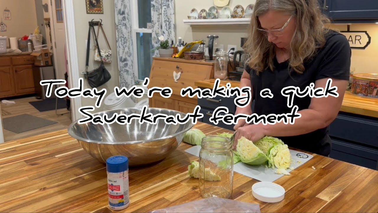 Fermenting Sauerkraut with no special tools #hedgehogshomestead # ...