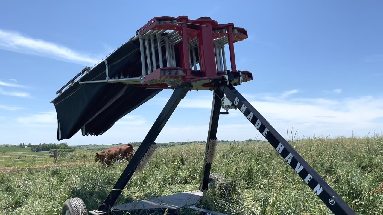 Portable Shade For Cattle - YouTube