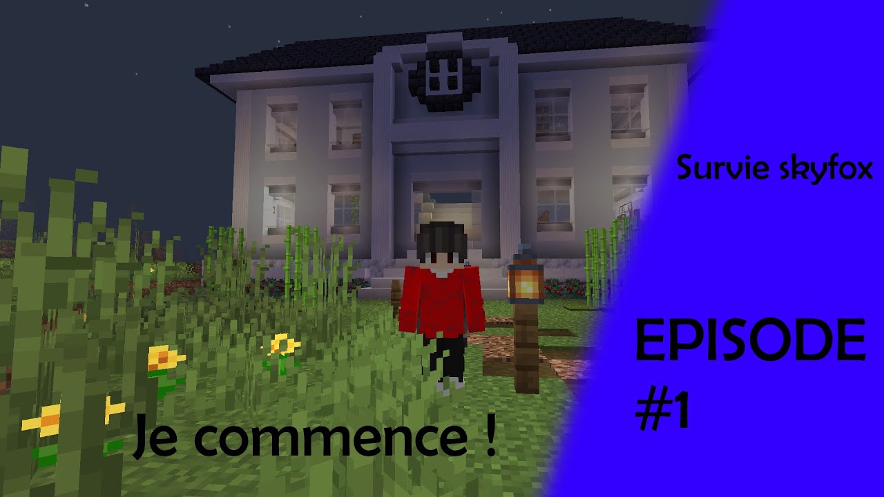 Je commence - SURVIE SKYFOX #1 - YouTube