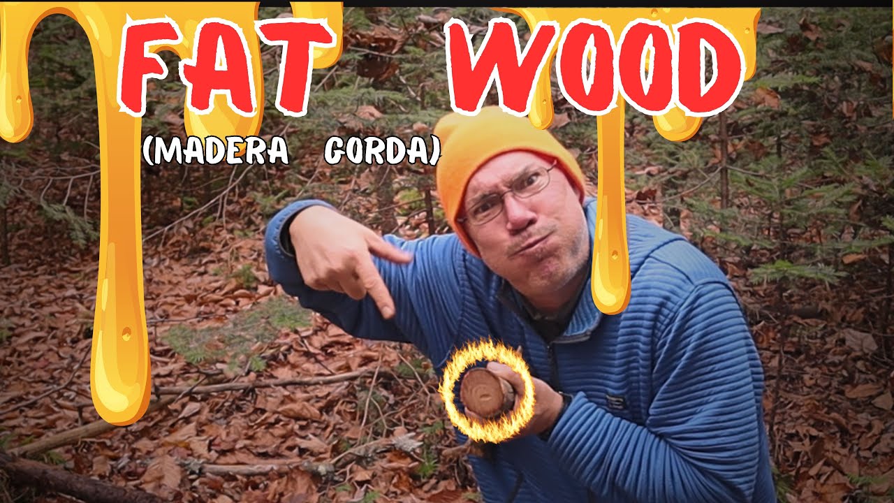 FAT WOOD: Easy to Find | Firebox Stove Tea - YouTube