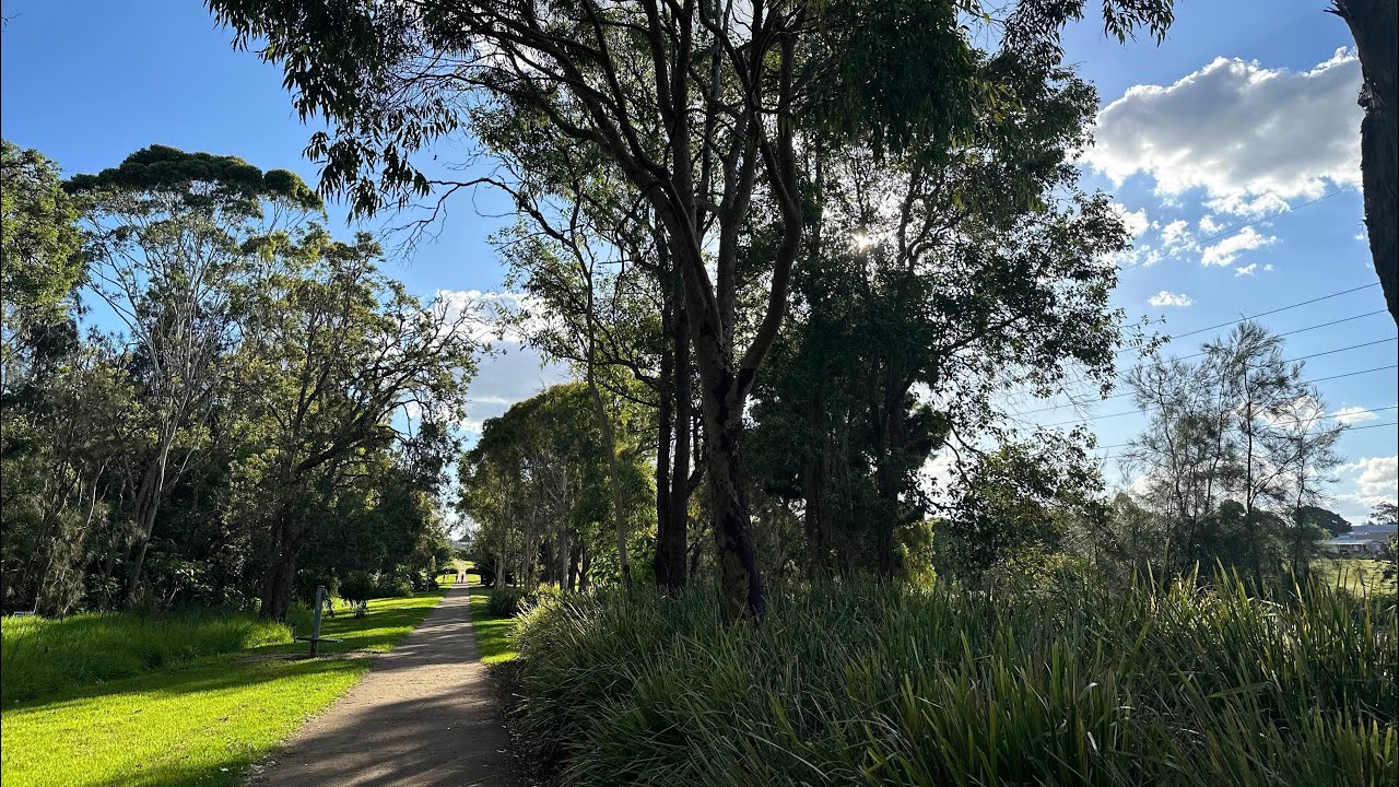 Relaxing Wetland walk #australia - YouTube