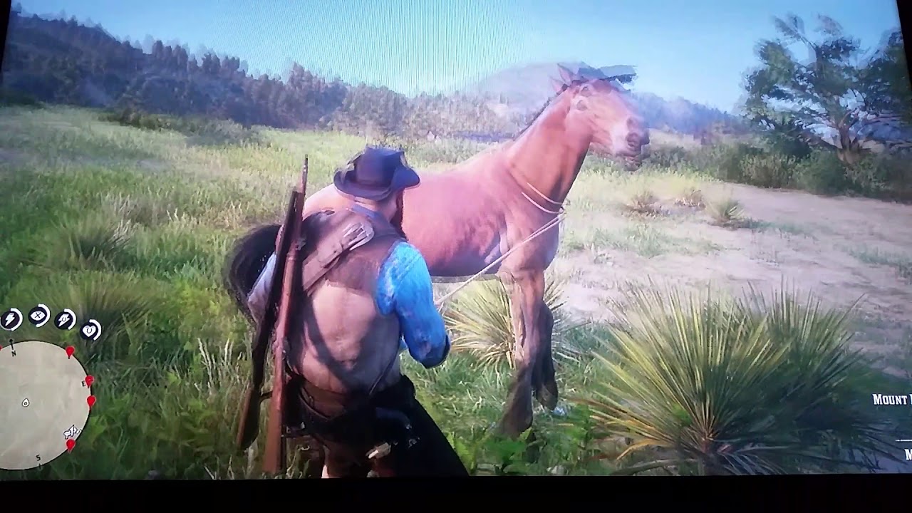 red dead 2 mustang location - YouTube