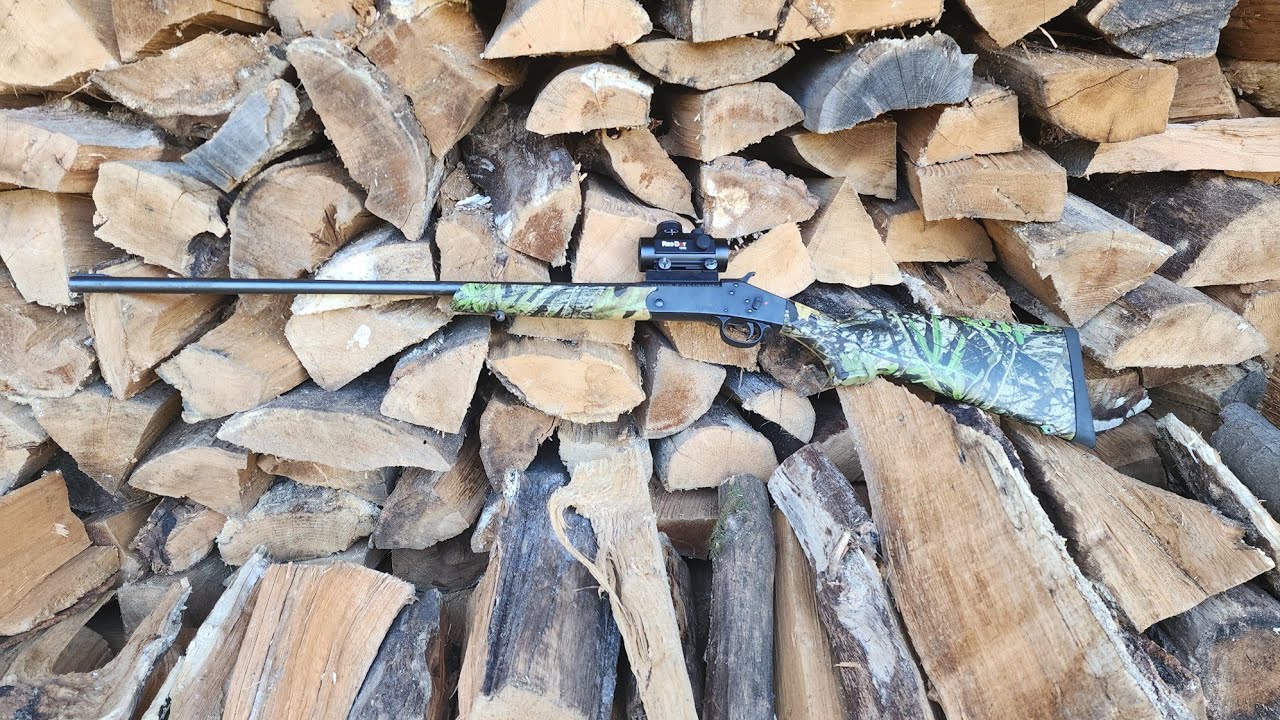 Savage Steven's model Model 301 .410 Turkey Gun Review - YouTube