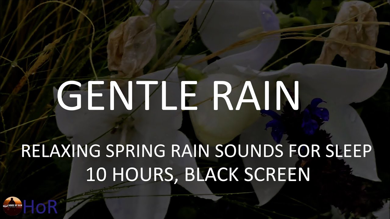 Rain Ambient Sounds for Sleeping, Gentle Spring Rain, 10 Hours Black ...