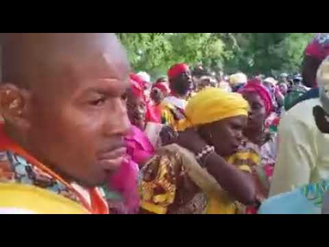🎶🎶🎶 Danbala Wèdo Vodoun na wè yo