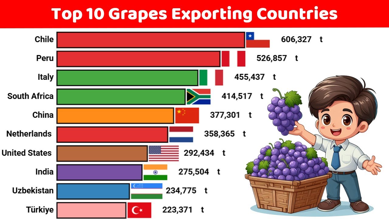 Top 10 Grapes Exporting Countries in the World - YouTube