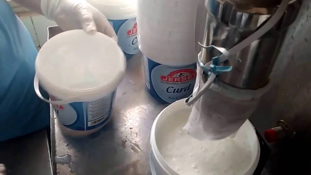 1kg Curd Filling Machine, Curd Packing Machineries, Hyderabad, India ...