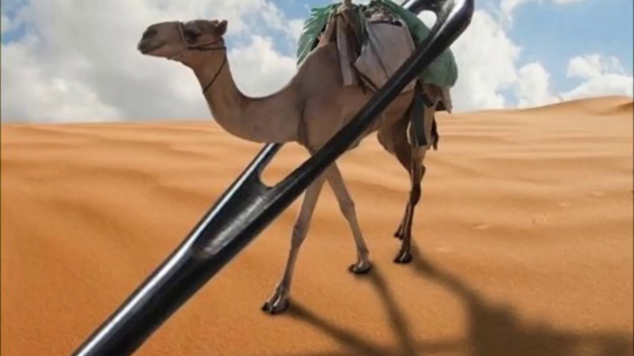 LA HISTORIA DEL JOVEN RICO - YouTube