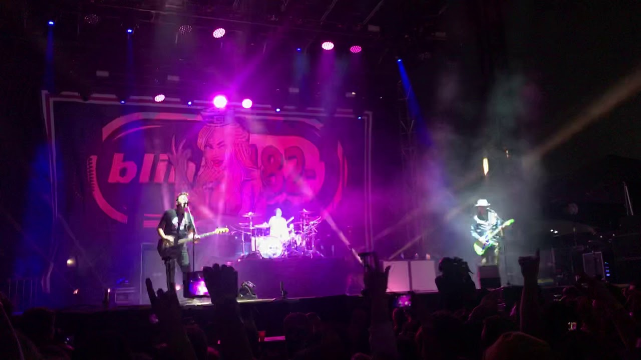 Blink 182 - The Party Song Live @back to he beach - YouTube