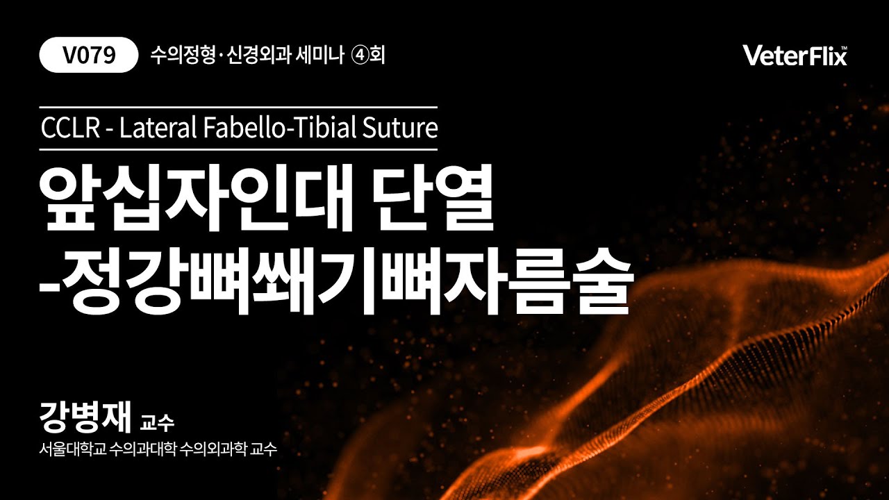 베터플릭스 수의정형신경외과 세미나 4강 앞십자인대 단열 정강뼈쐐기뼈자름술two Youtube 6744