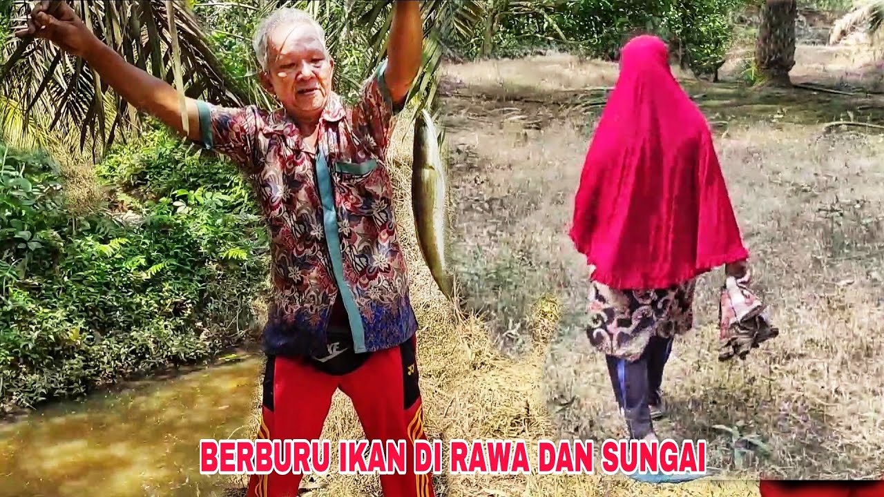 MENCARI IKAN DI RAWA DAN SUNGAI. - YouTube