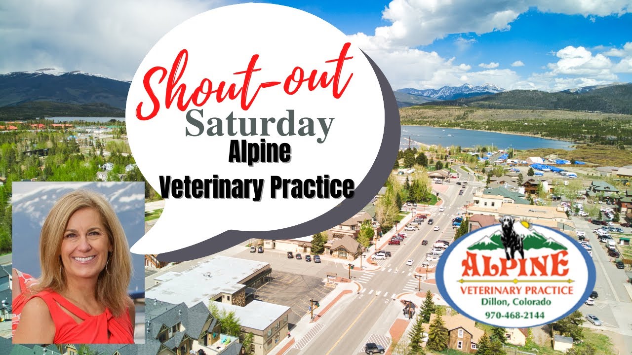 Shoutout Saturday - Alpine Veterinary Clinic - YouTube