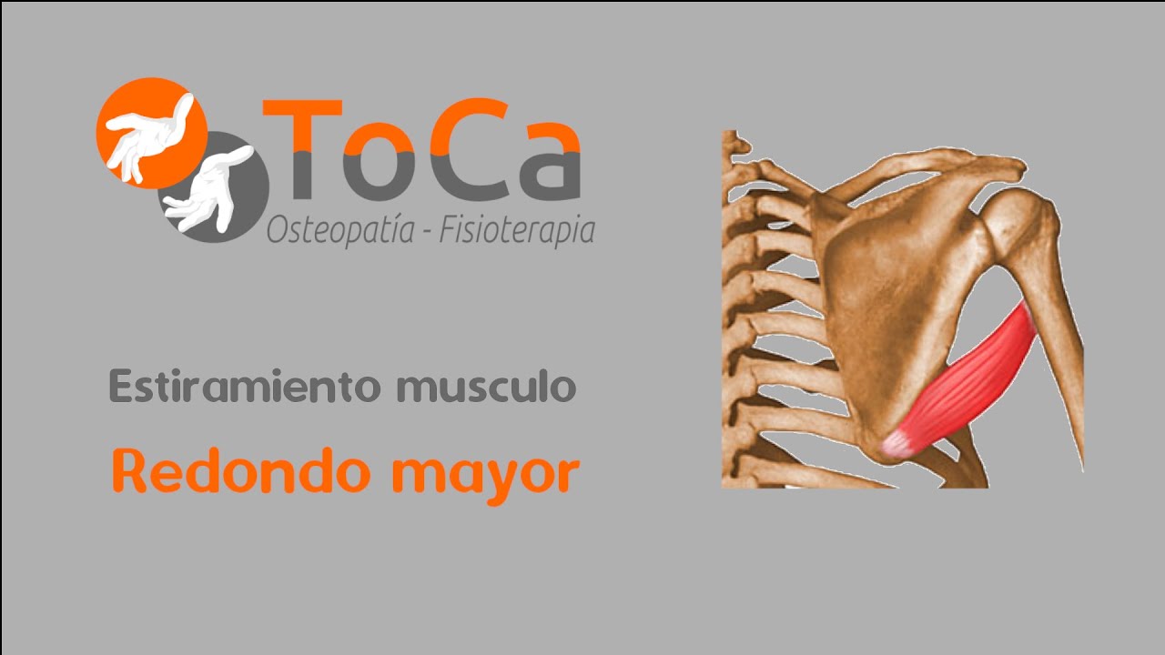 Como estirar el musculo Redondo mayor - YouTube