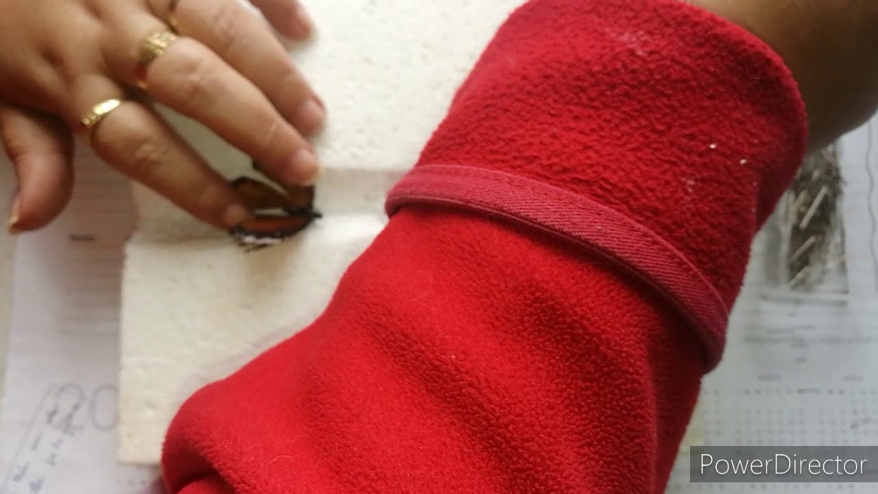 Como montar insectos. Tutorial - YouTube