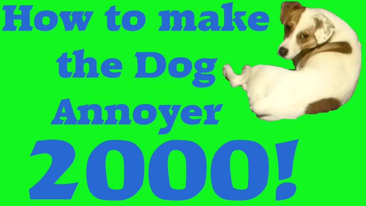 How to make The Dog Annoyer 2000! - YouTube