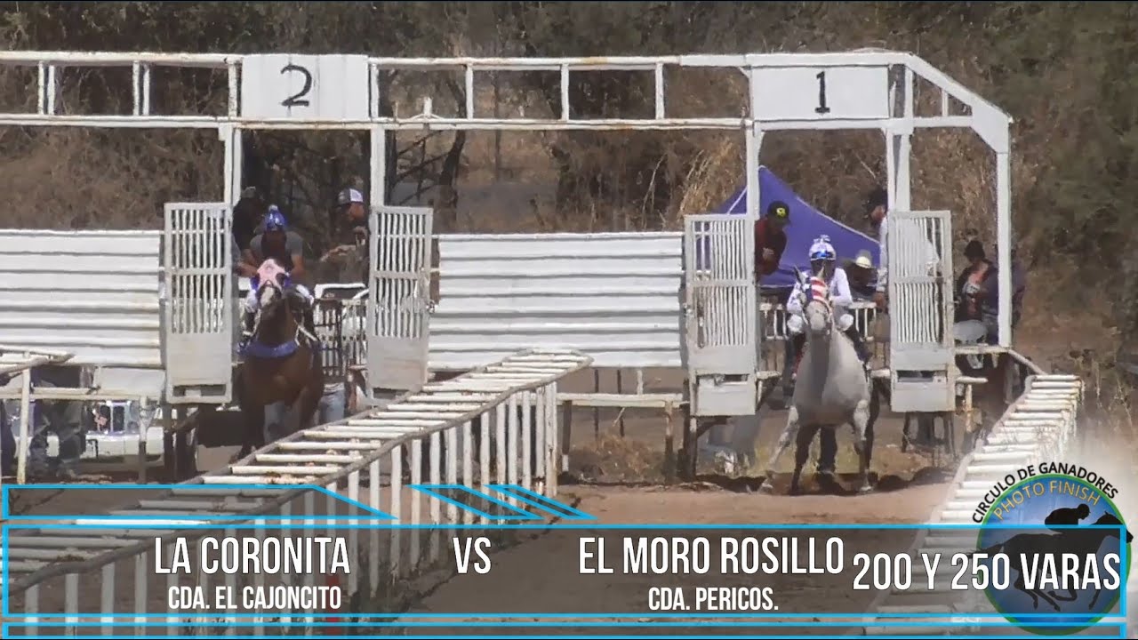 LA CORONITA CDA. CAJONCITO. VS EL MORO ROSILLO CDA. PERICOS 200 Y 250 ...