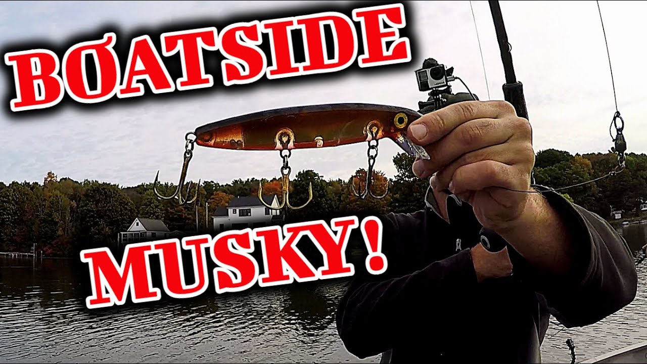 MASSIVE Boatside MUSKY ATTACK!!! (0 - Epic in Seconds) - YouTube