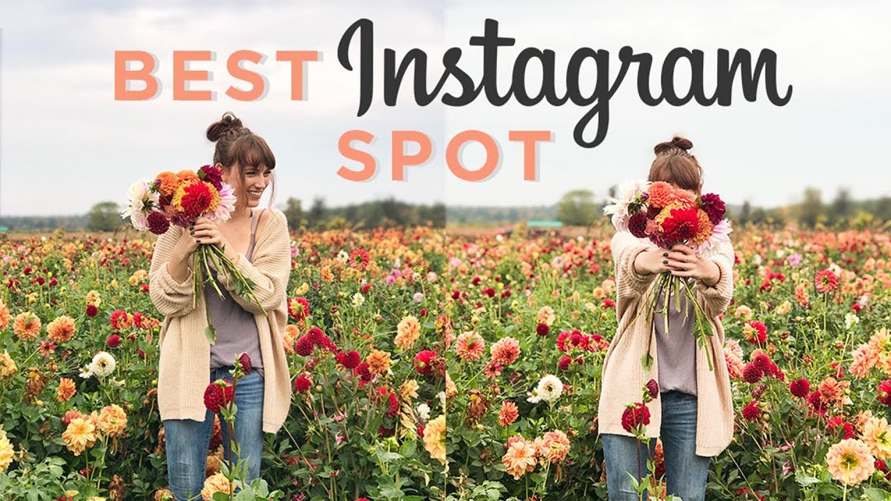 THE BEST INSTAGRAM SPOT! - YouTube