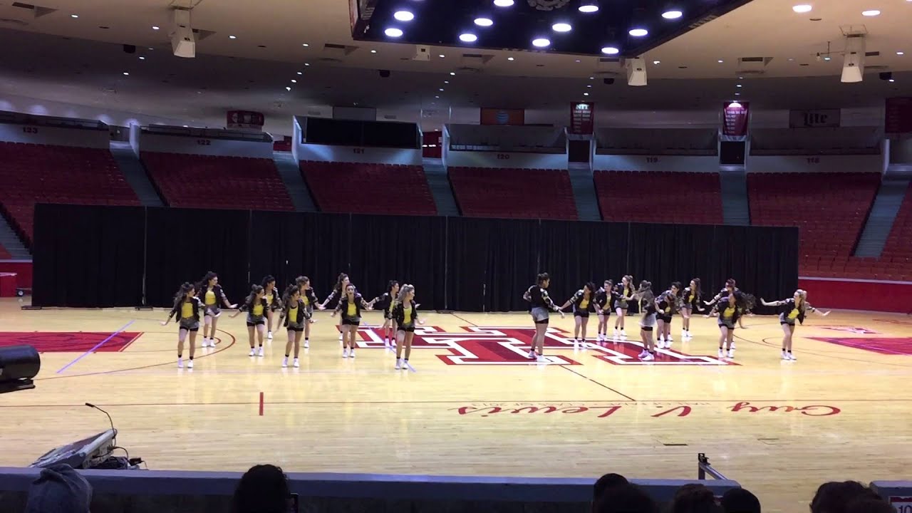 Panther Paws Hip Hop Crowd Pleasers National Competition 2016 - YouTube