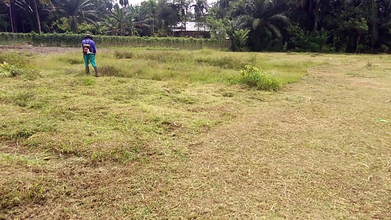 Pembabatan Lahan Kaplingan Tandem Part 2 Bulan Juli 2020 ll Kegiatan ...