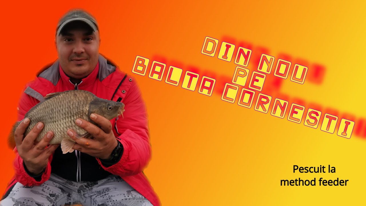 Pescuit la feeder din nou pe balta Cornesti - YouTube
