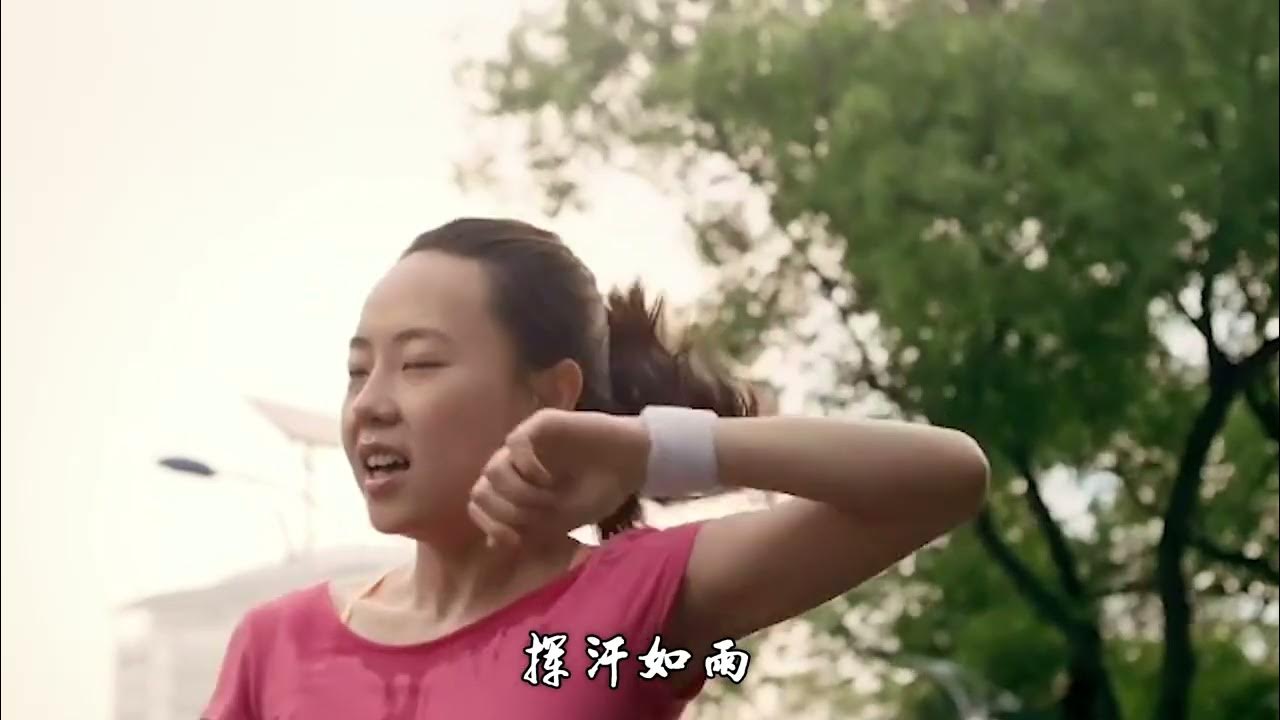 不同季节喝什么茶 Youtube