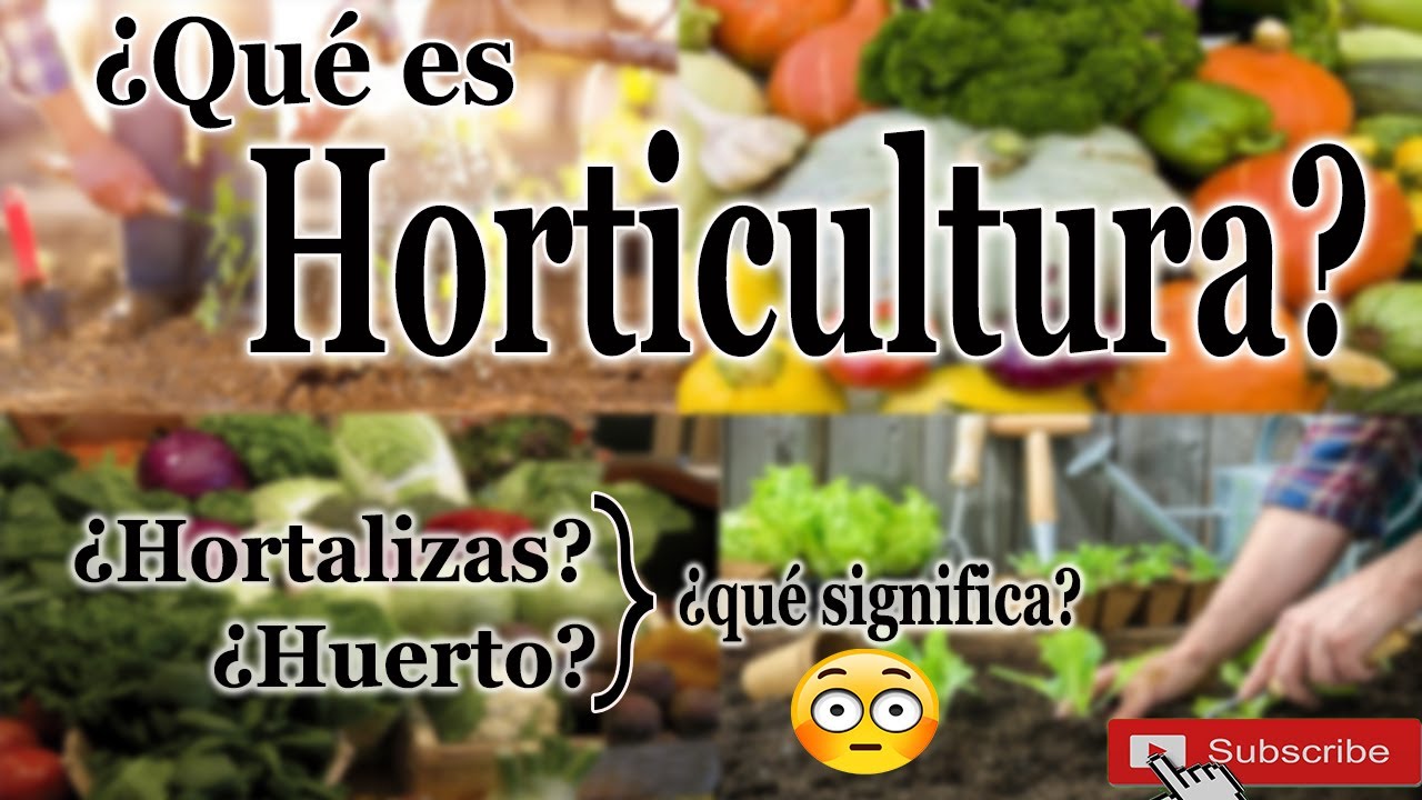 Horticultura || Que significa Horticultura || Hortalizas || Huerta ...