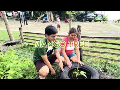 NSTP-CWTS Tree Planting - YouTube