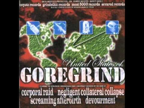 Negligent Collateral Collapse / Corporal Raid / Screaming Afterbirth ...