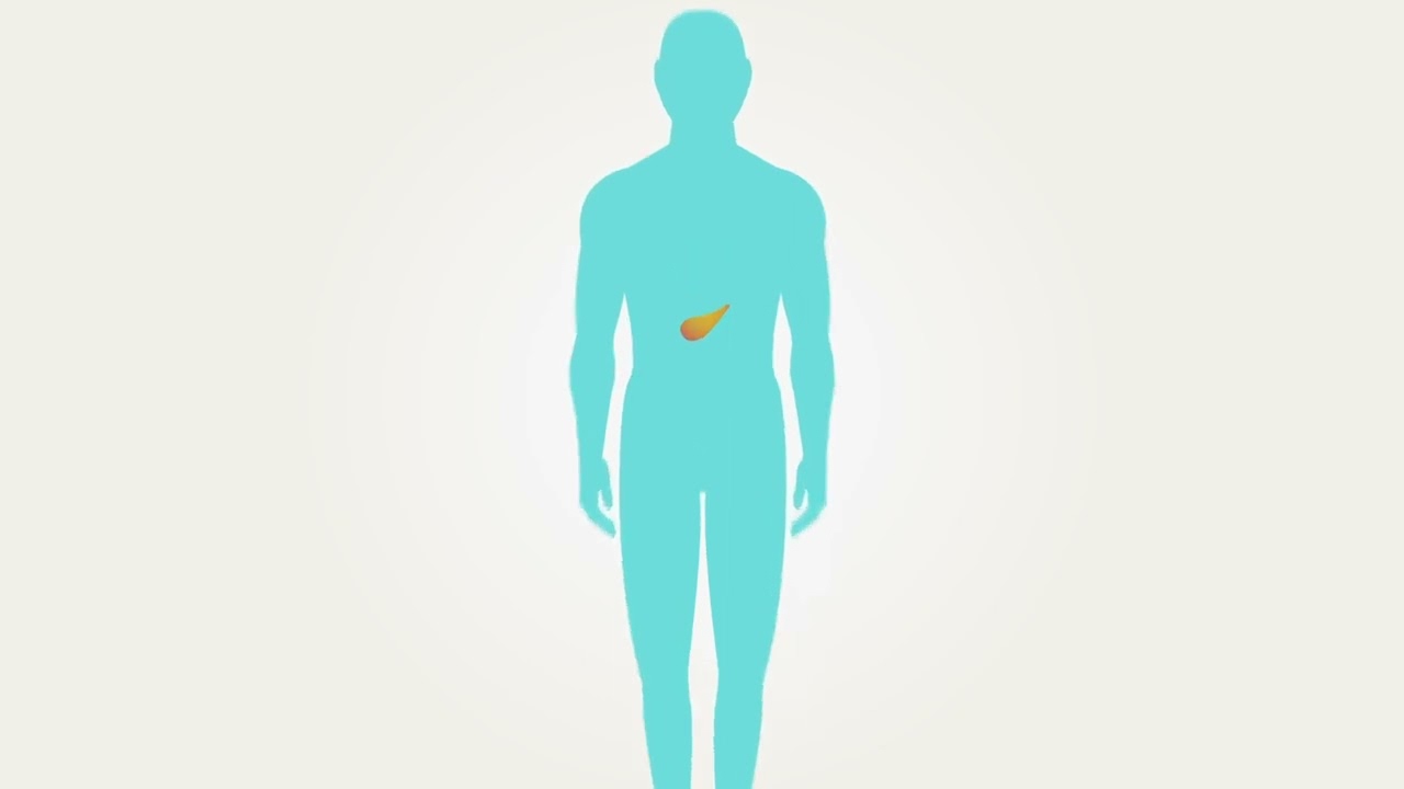 Omnipod Basal Bolus Therapy YouTube omnipod-basal-bolus-therapy-youtube