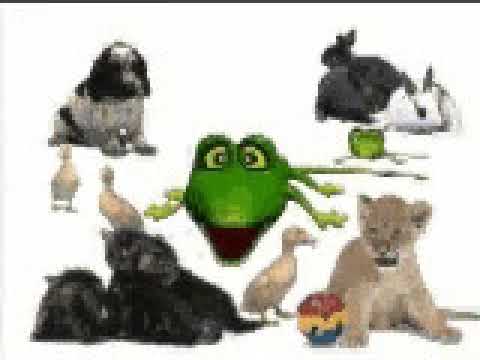 Disney Channel Amazing Animals Animal Babies Promo 1997 - YouTube